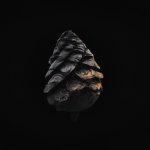 Lump on Back – San Diego Health