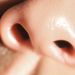 Nose Swollen Inside – San Diego Health