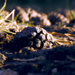 Throwing up Brown – San Diego Health