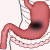 Stomach Spasms & How to Treat Them: – San Diego Health
